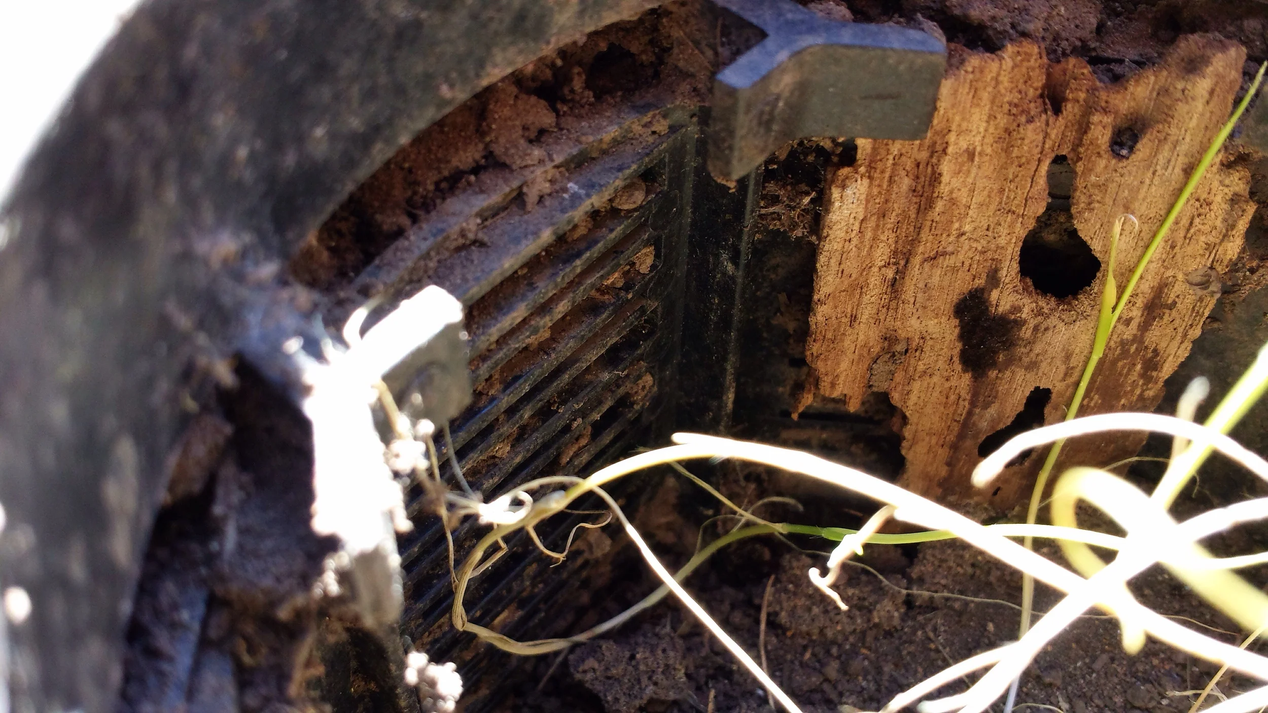 It's abandoned - termite bait stations! — The Termite Trackers ...