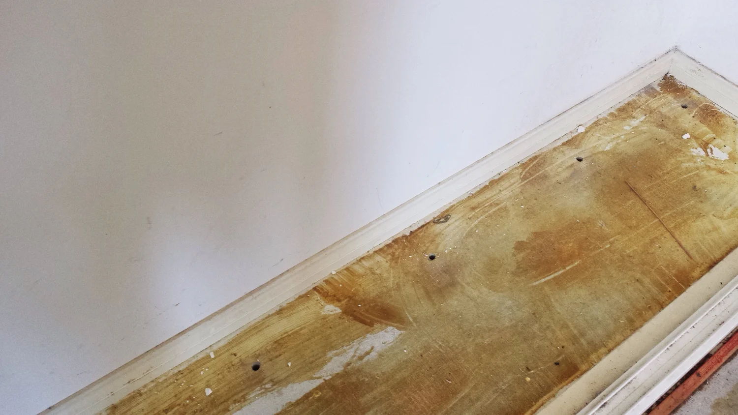 Drilling & Injecting — The Termite Trackers - Termite Inspections ...