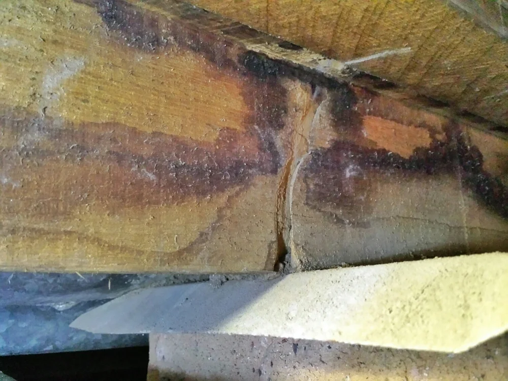 Signs of what has been. — The Termite Trackers - Termite Inspections ...