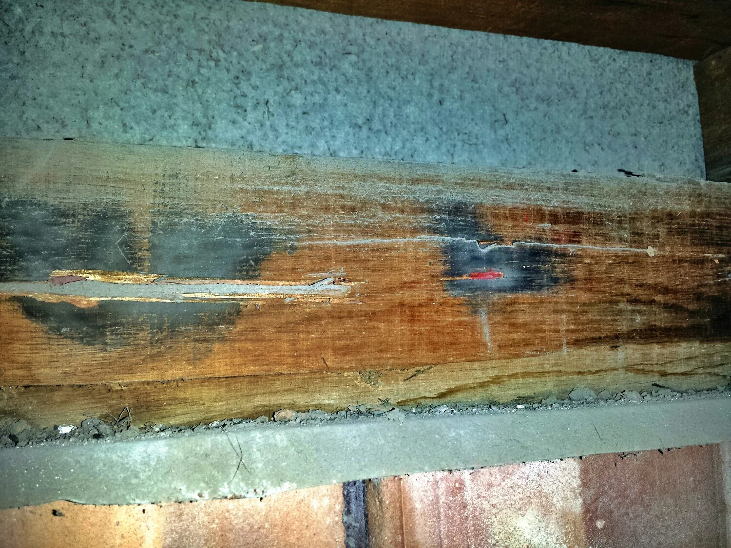 Hidden dangers of previous treatments. — The Termite Trackers - Termite ...