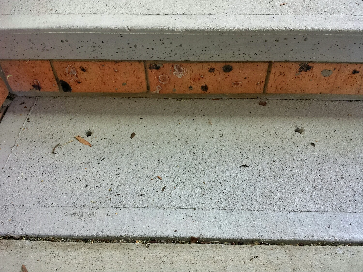 Drilling & Injecting — The Termite Trackers - Termite Inspections ...