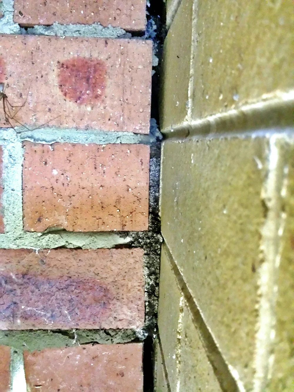 How to identify termite mudding. — The Termite Trackers - Termite ...