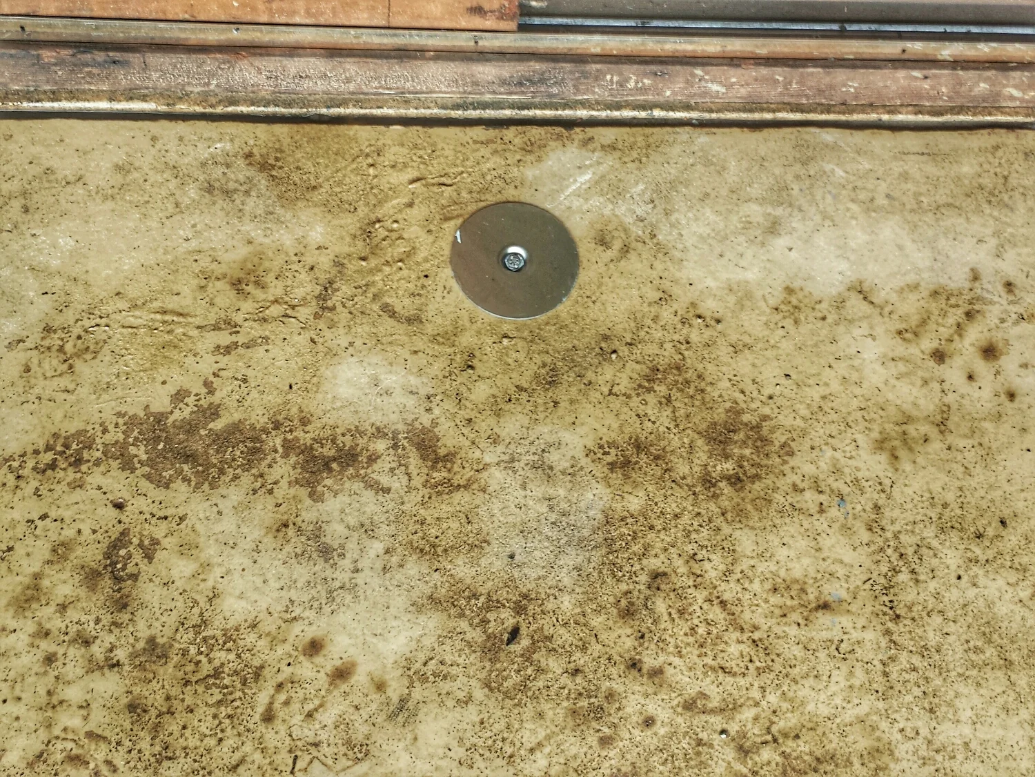 Baiting in concrete — The Termite Trackers - Termite Inspections ...