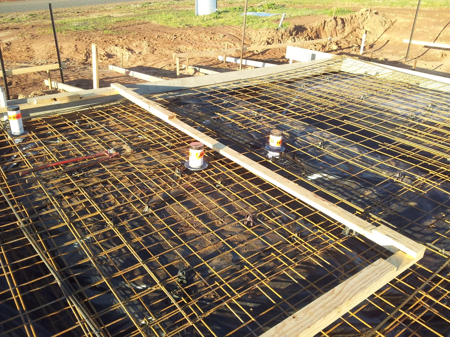 Building — Termite Blog - Information on Termites in Australia — The ...