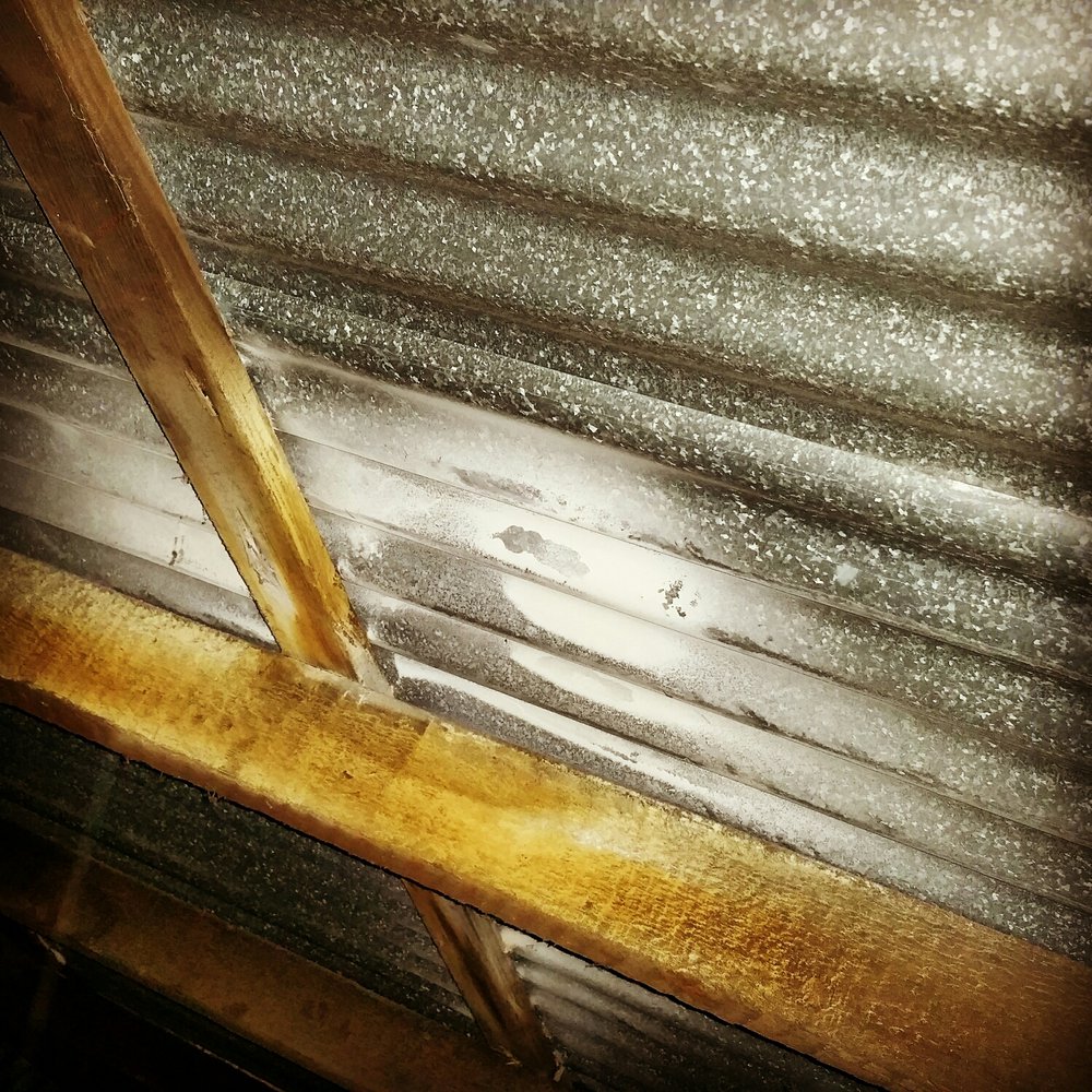 Beware of hazards in your home! — The Termite Trackers - Termite ...