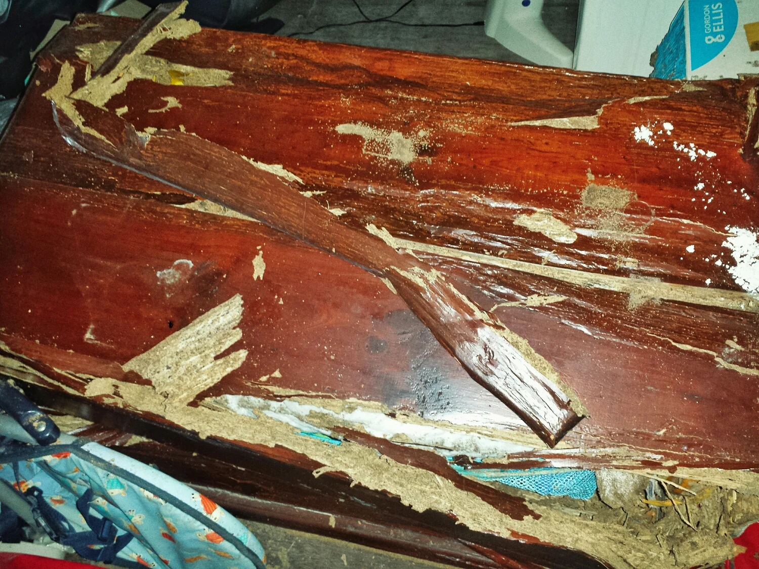 Using shipping containers for storage = termite haven! — The Termite ...