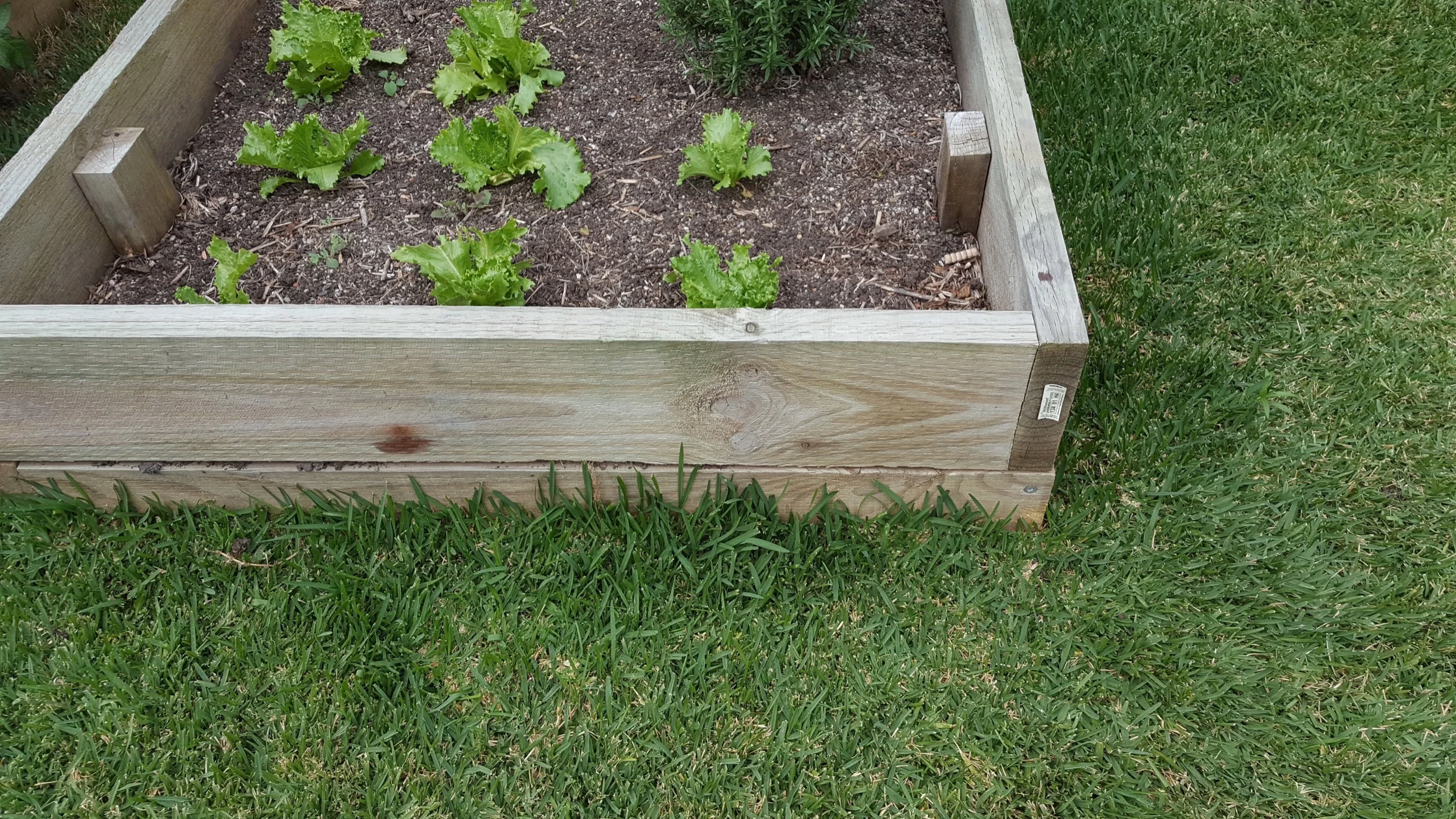 Spotlight on Treated timber - Copper Chrome Arsenate. (CCA) — The ...