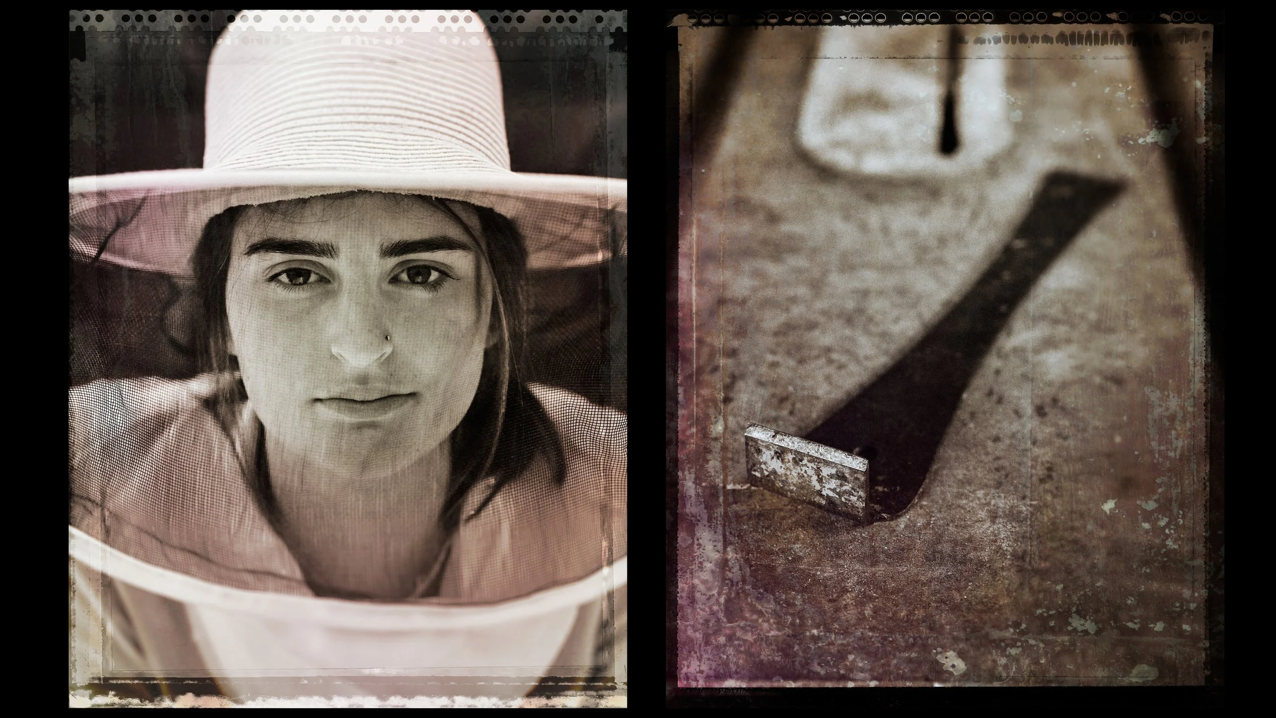 Spid Pye Photographer-The Apiculturists