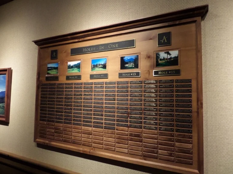 Hole In One Clubhouse Plaques — Teemark
