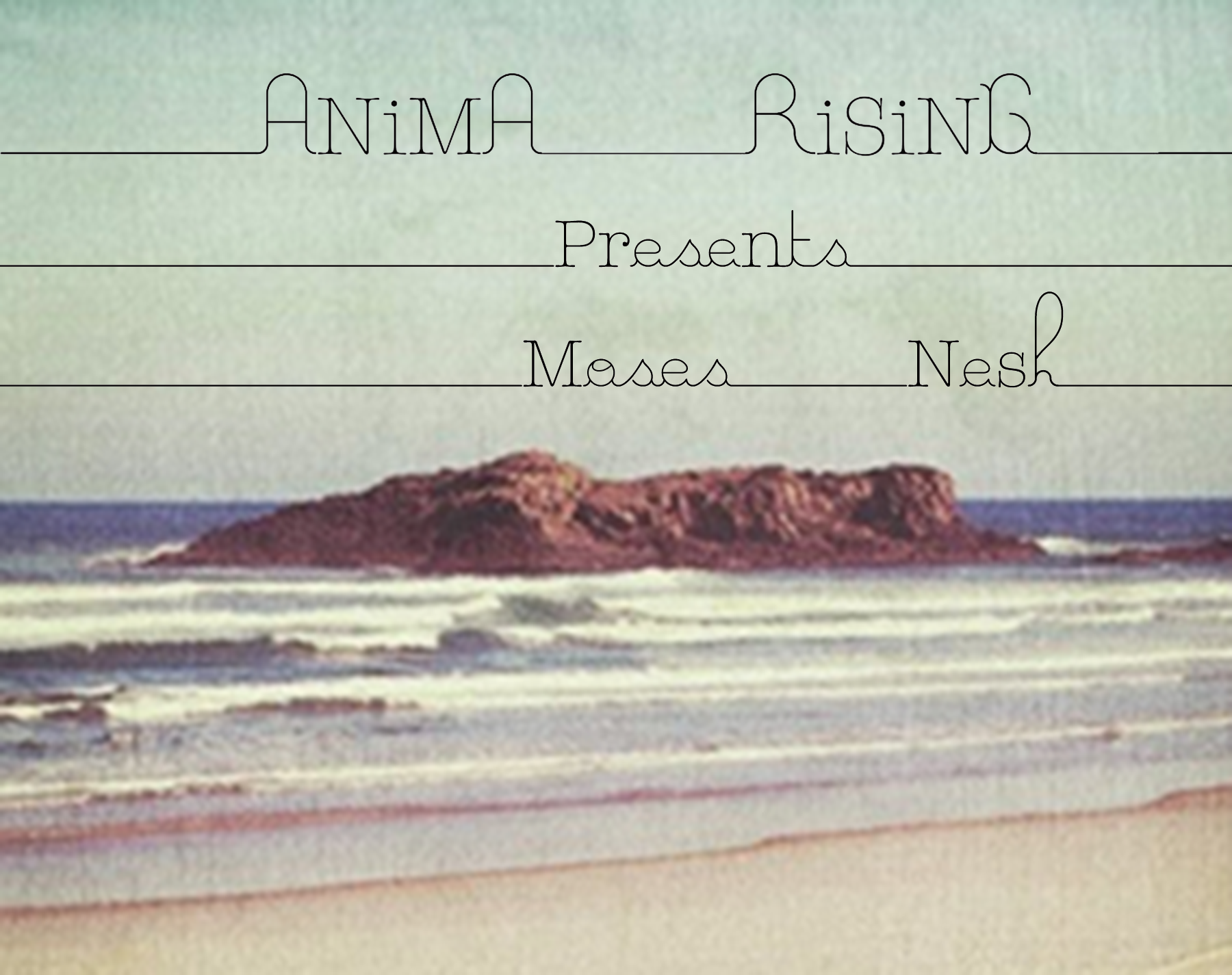 WildWomen — Anima Rising