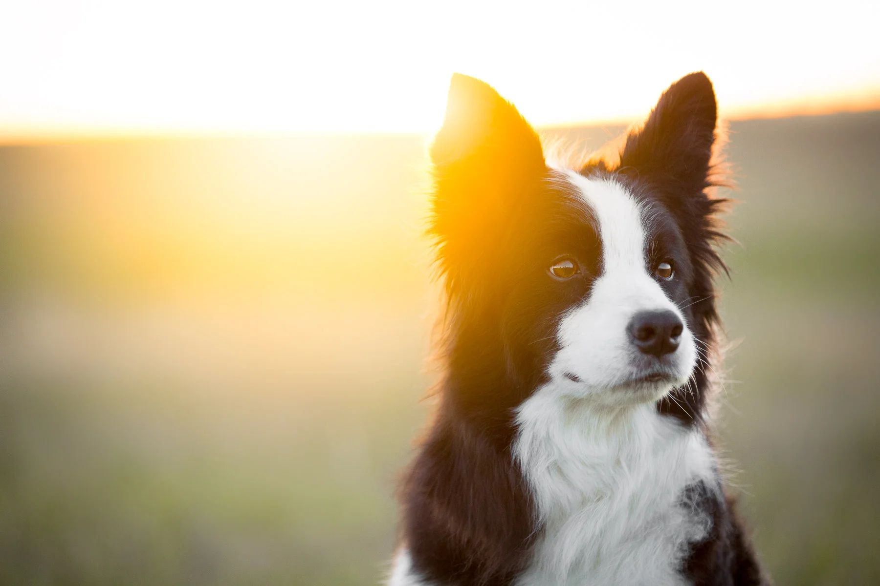 How to Succesfully Win a Photography Gig — ALICIA RIUS PHOTOGRAPHY ...