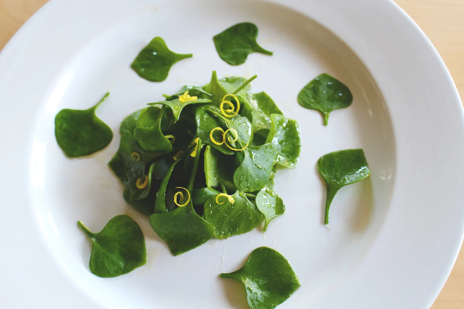 Foraged Miner's Lettuce Salad — Braised & Burnt