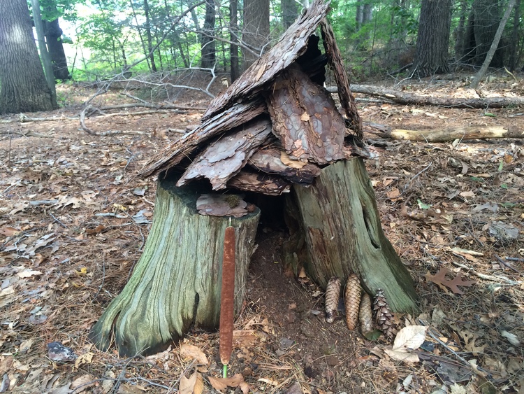 Amesbury Trails - Discover Amesbury's Natural Places Amesbury Trails - Discover Amesbury's Natural Places
