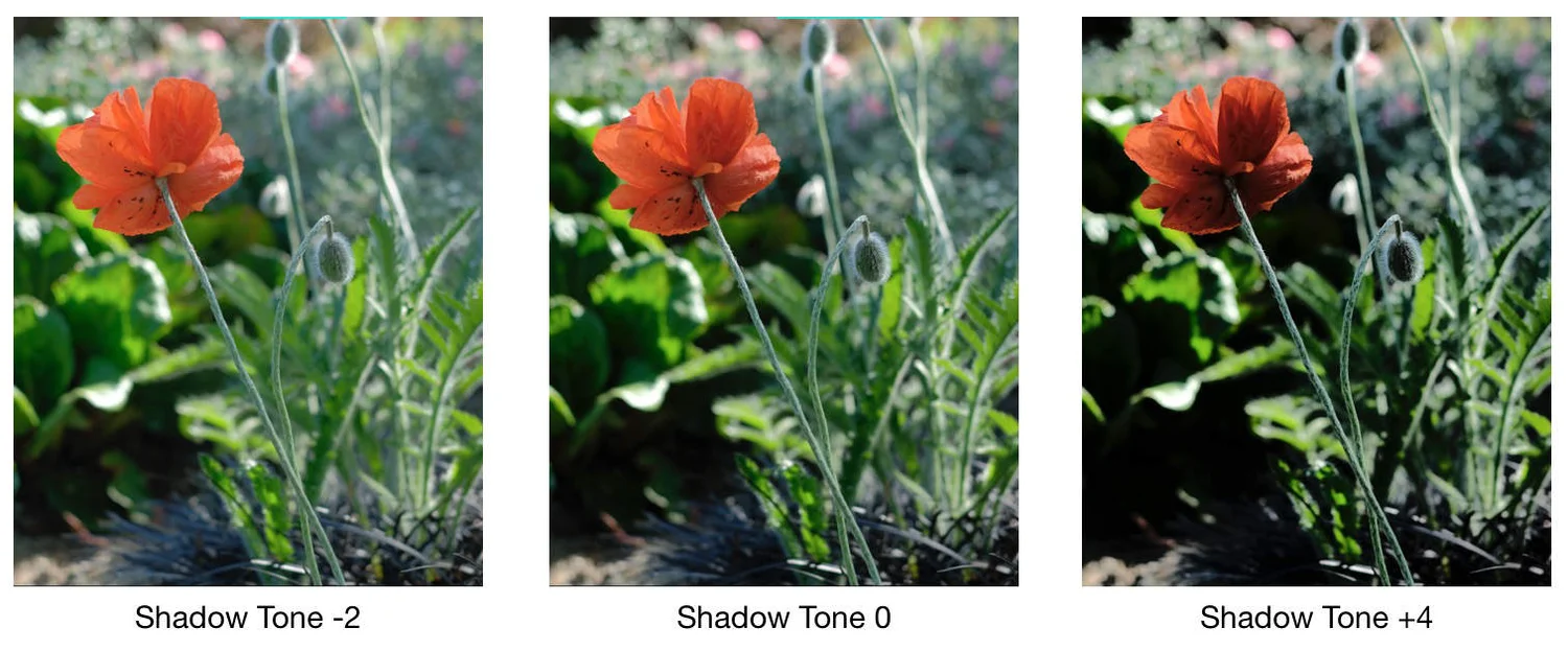 Understanding Fuji’s Shadow and Highlight Tone Options - An Excerpt ...