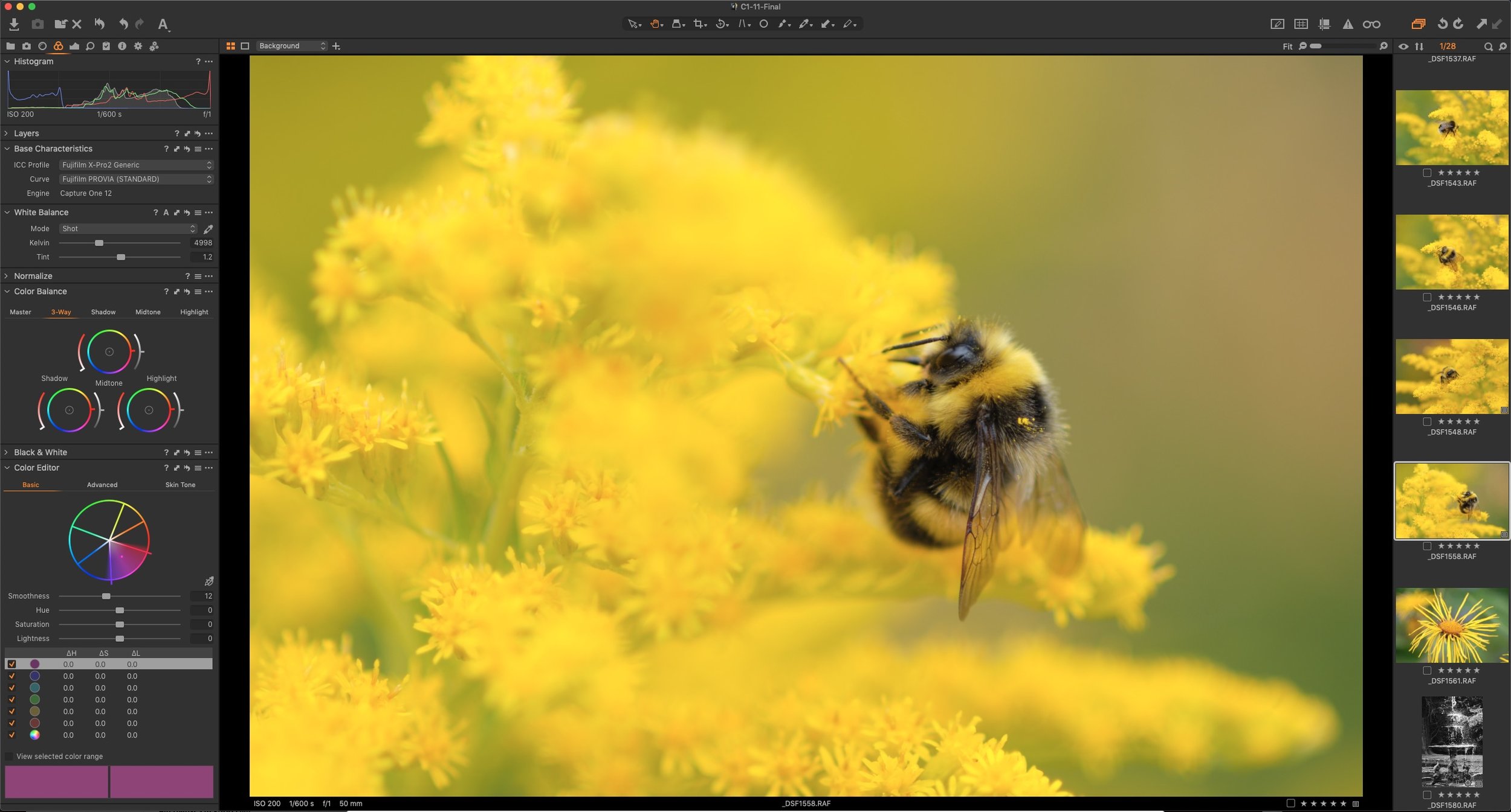 Last Few Days Of Capture One Sale 50 Off Fuji And Sony Versions Last Few Days Of Capture One Sale 50 Off Fuji And Sony Versions