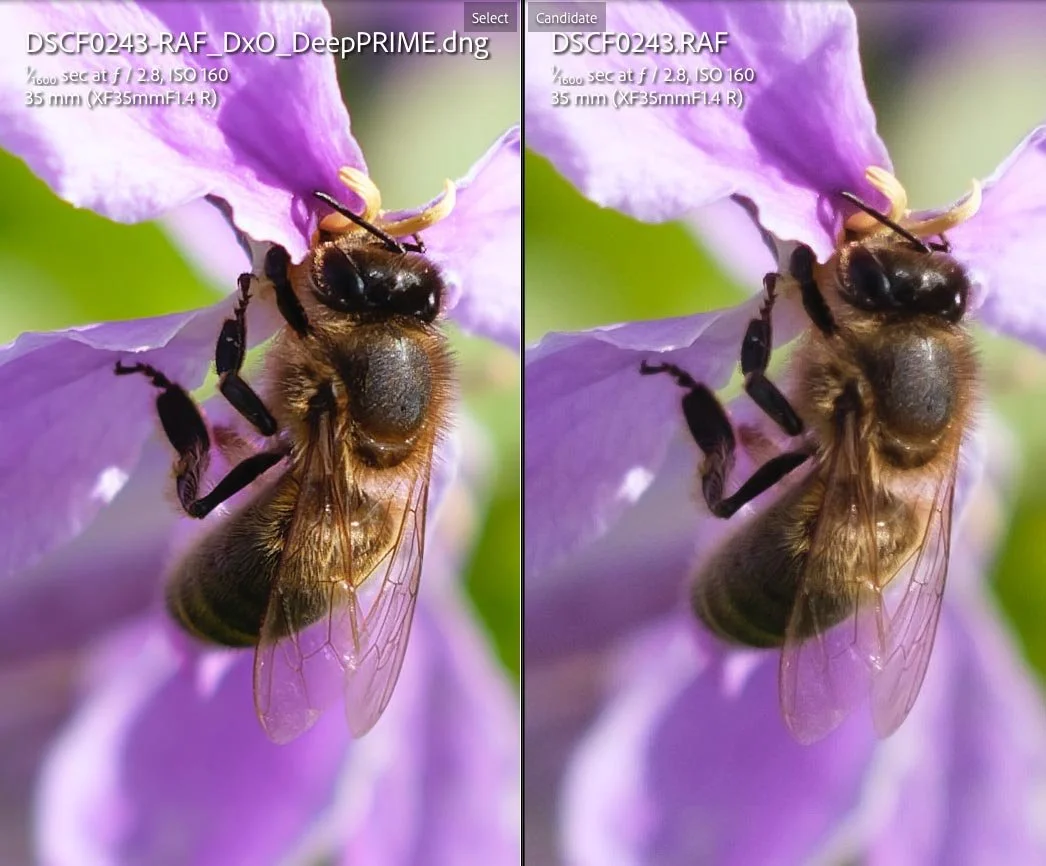 DXO Introduces Pure Raw 2 - Now with Lightroom Plug in and Fuji X-Trans ...