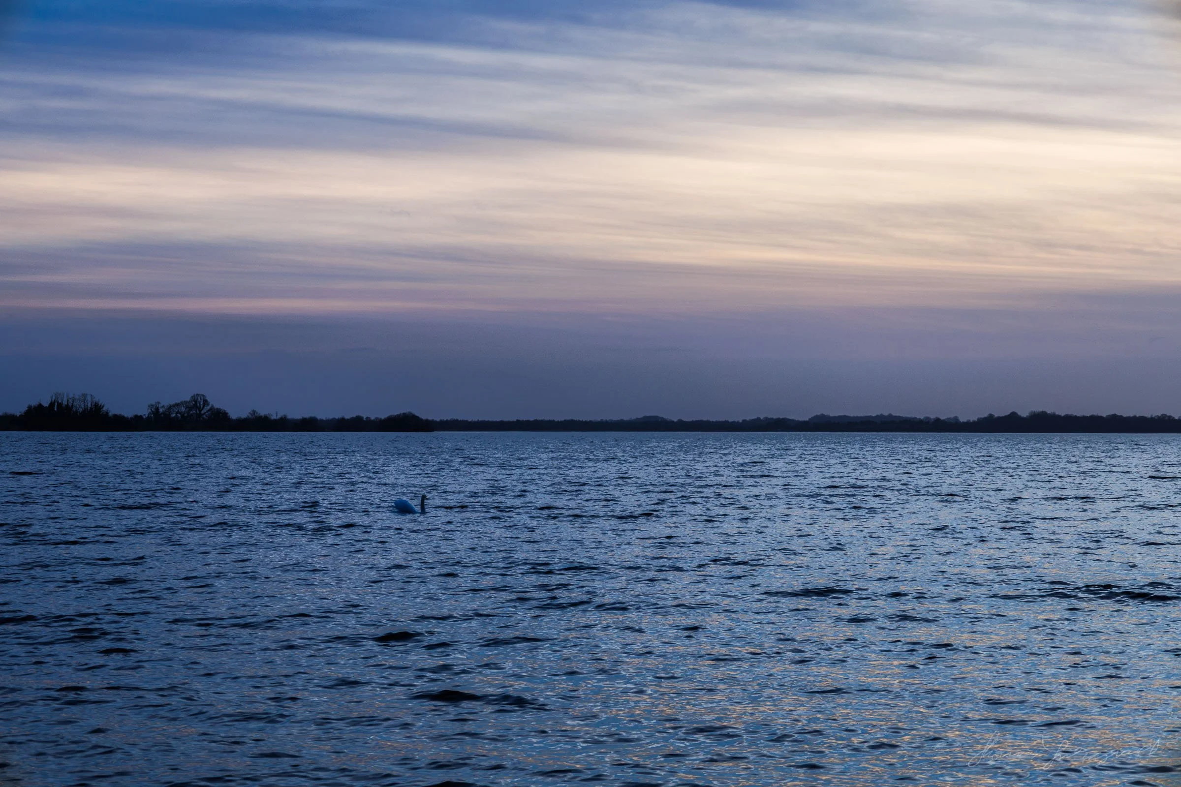 Another Way to Avoid Clarity Halos in Lightroom. Well, Sort of ...