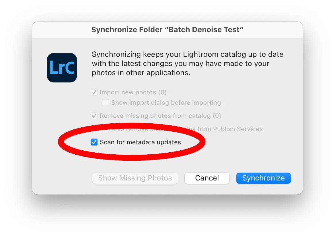 How-to Background Process Denoise in Lightroom Classic 14.4 (and other ...