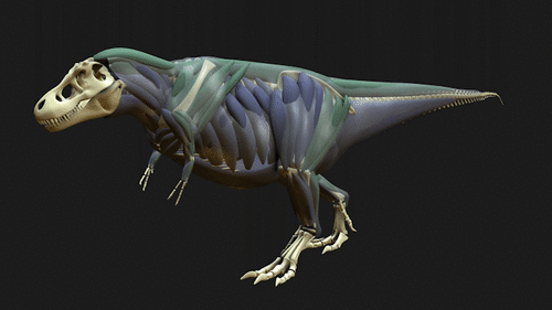 Anatomy of a CGI T. Rex - T.Rex Autopsy (National Geographic Channel ...