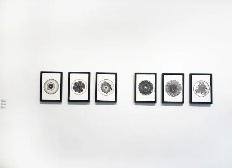 Fossils — Tal Danino Art