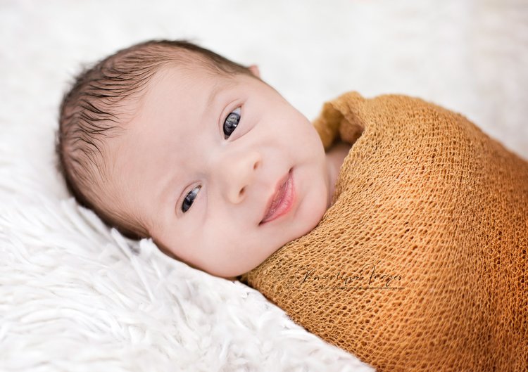 Creating Art — Romantique Images, RI maternity, newborn,baby, child and ...