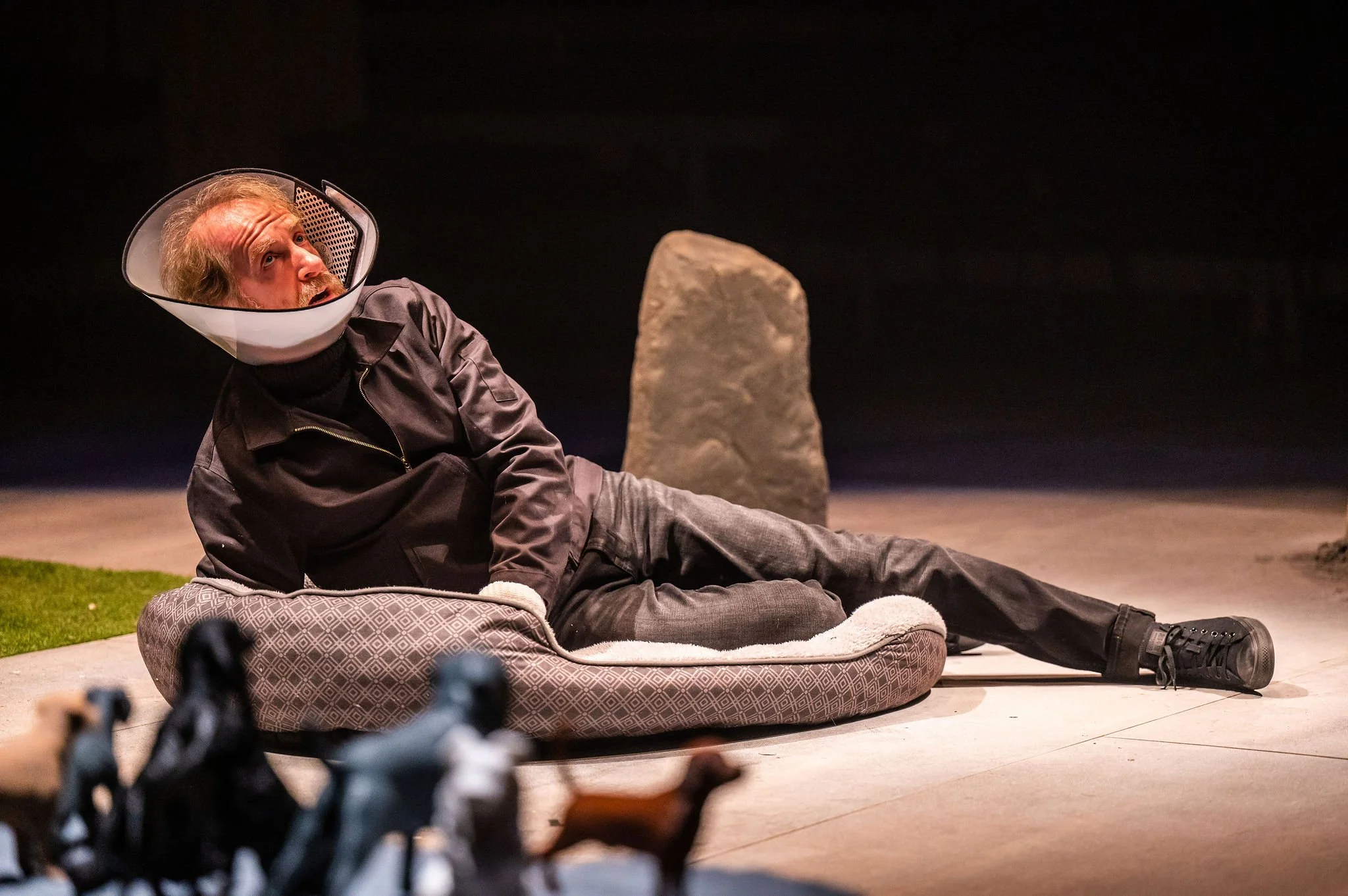 Fifteen Dogs — Marie Farsi