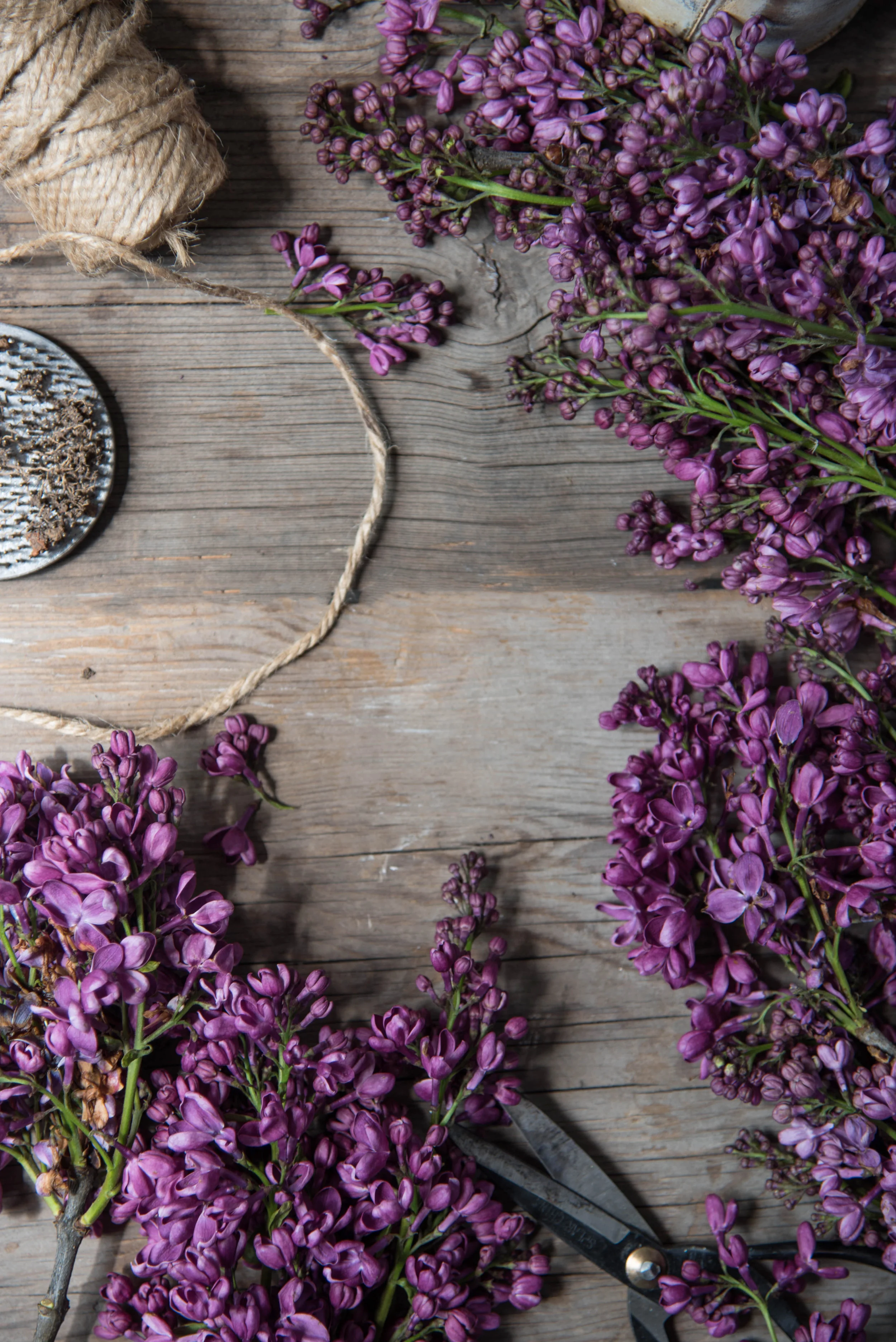 The Only Book You Need for Growing a Flower Garden Courtesy of Floret ...