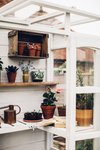 How to Create A Potting Shed Area for Planting — Rose & Ivy
