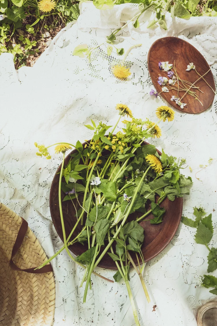 Foraging, A Conversation With Liz Knight Author of 'Forage: Wild Plants ...