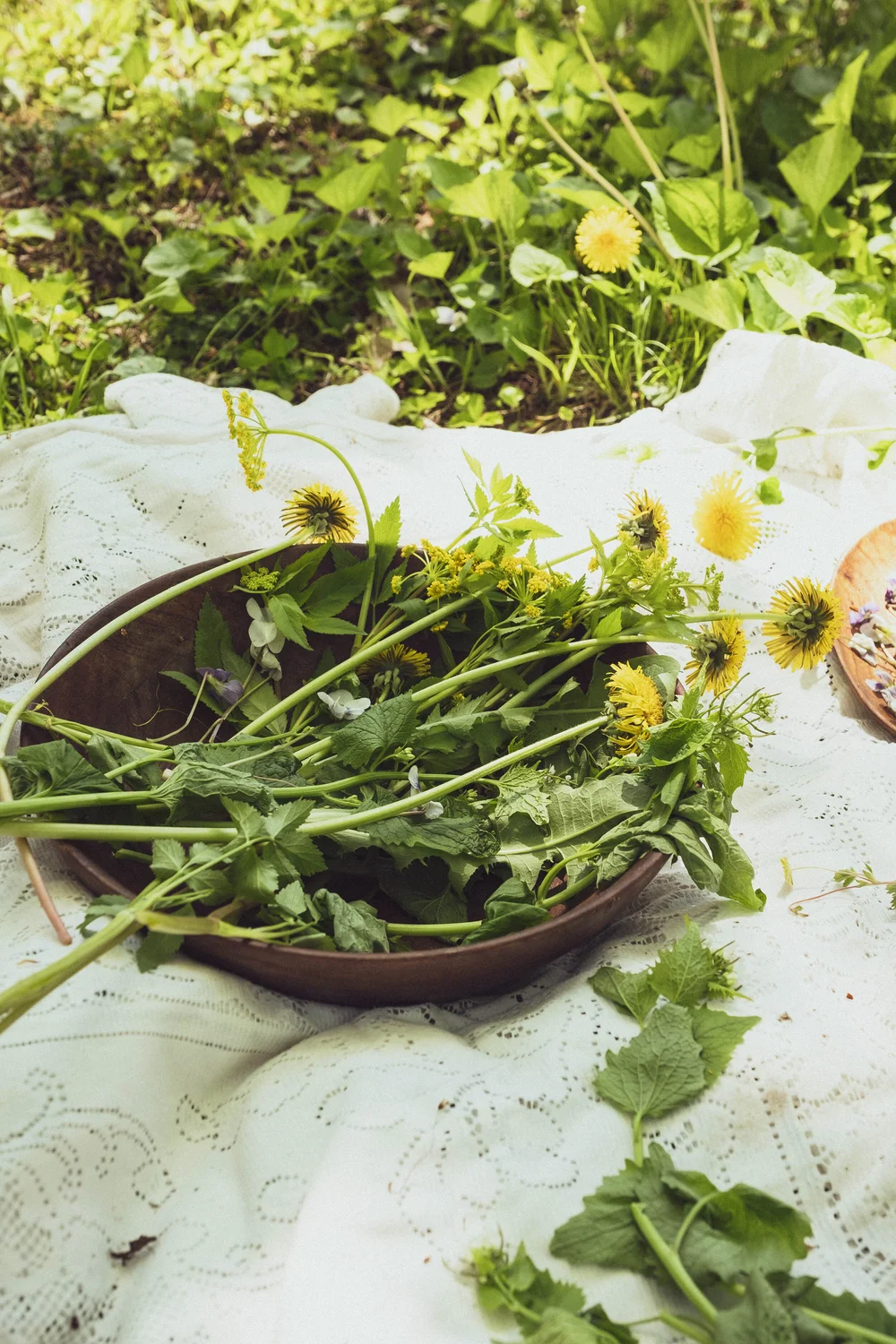 Foraging, A Conversation With Liz Knight Author of 'Forage: Wild Plants ...