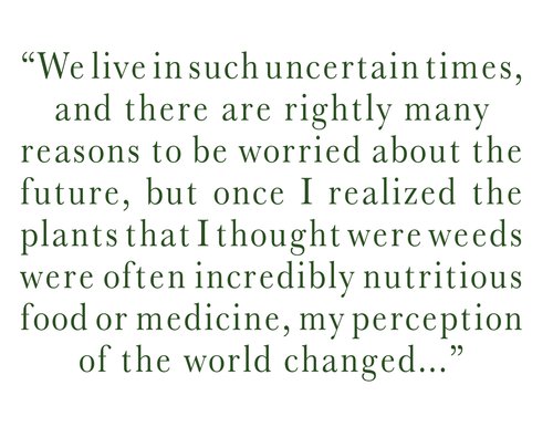 Foraging, A Conversation With Liz Knight Author of 'Forage: Wild Plants ...