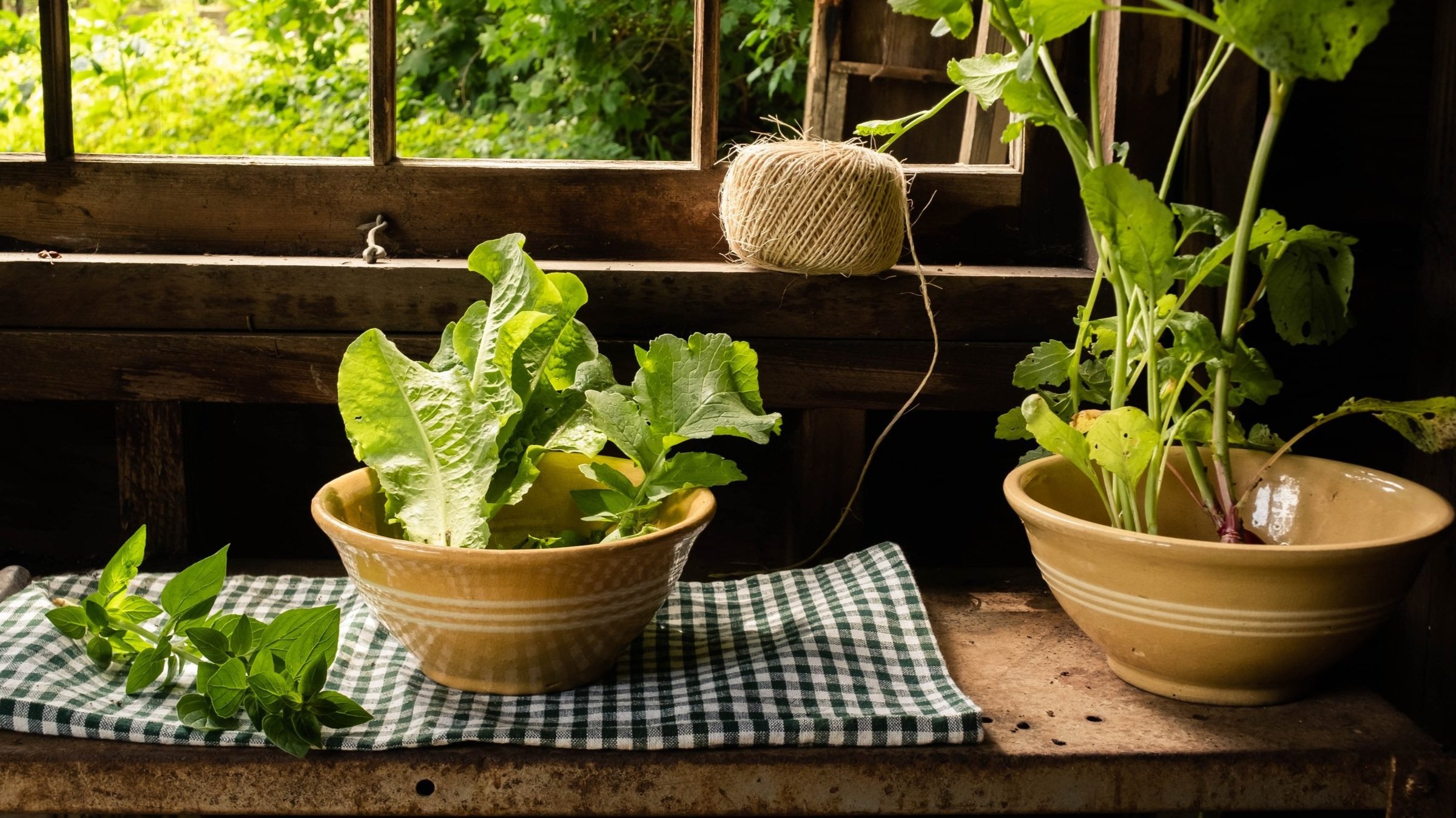 New Page — Rose & Ivy