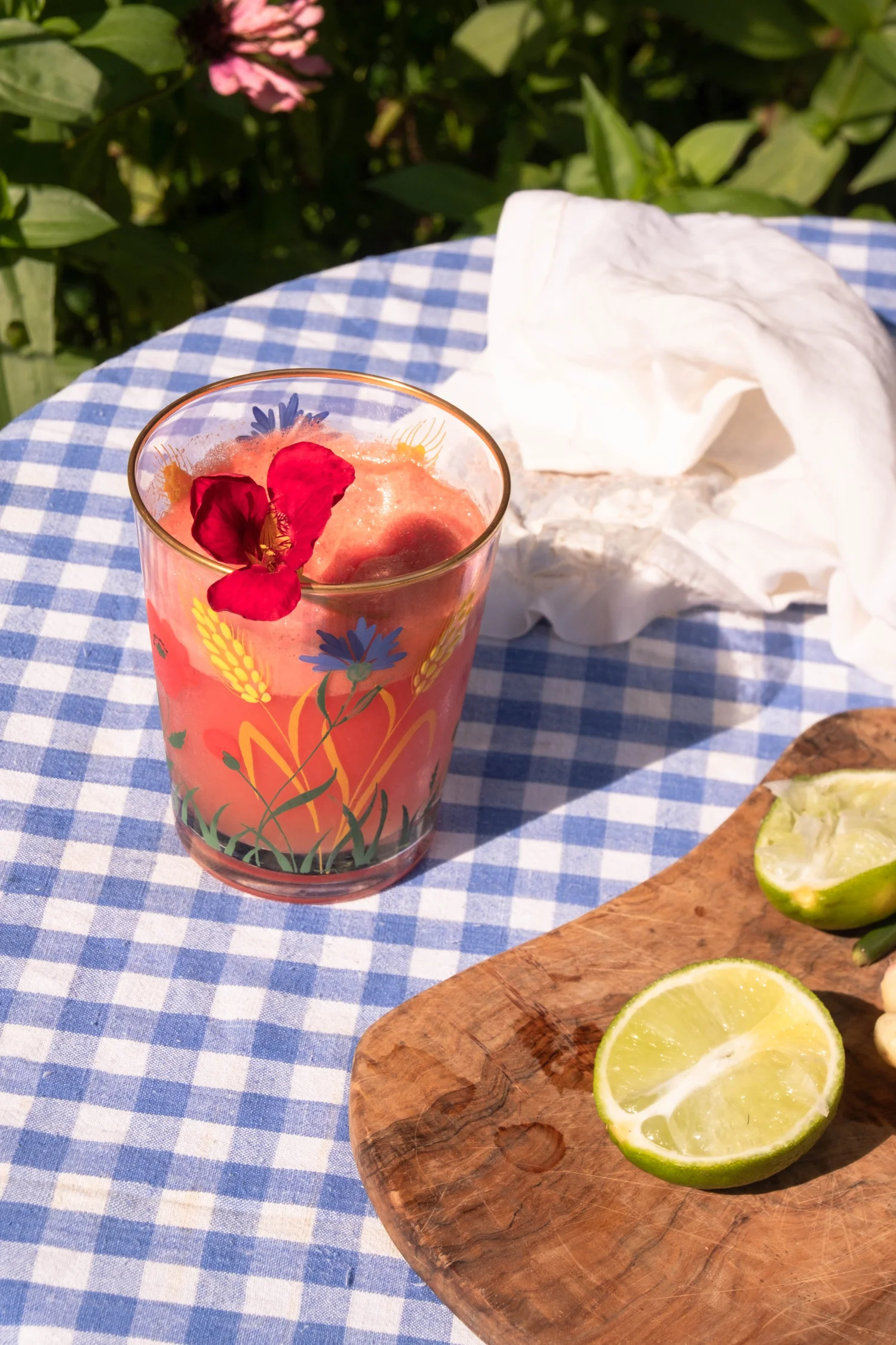 Watermelon, Ginger, and Lime Mocktail — Rose & Ivy