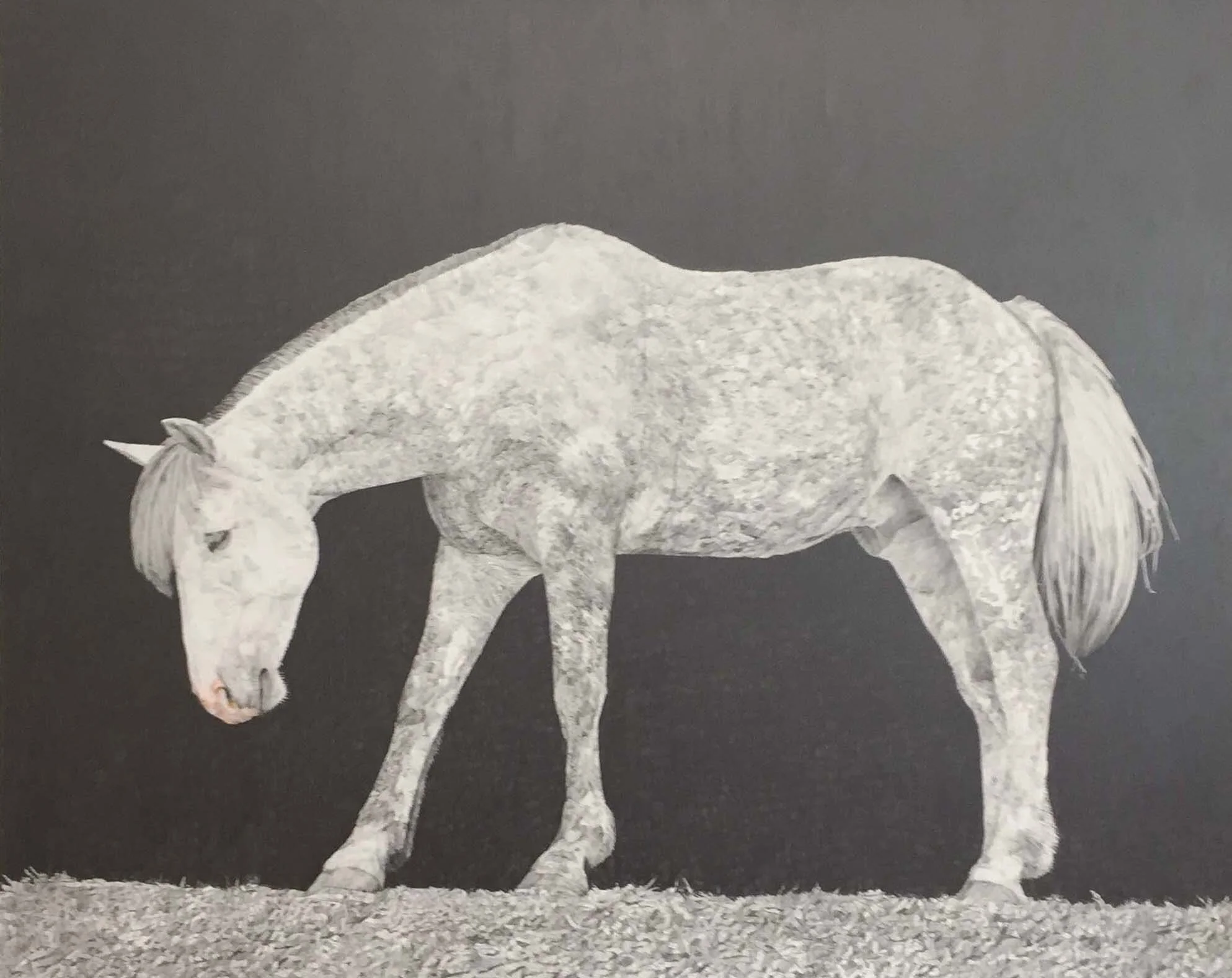Graphite Drawings — CAROL ROWAN fine artist