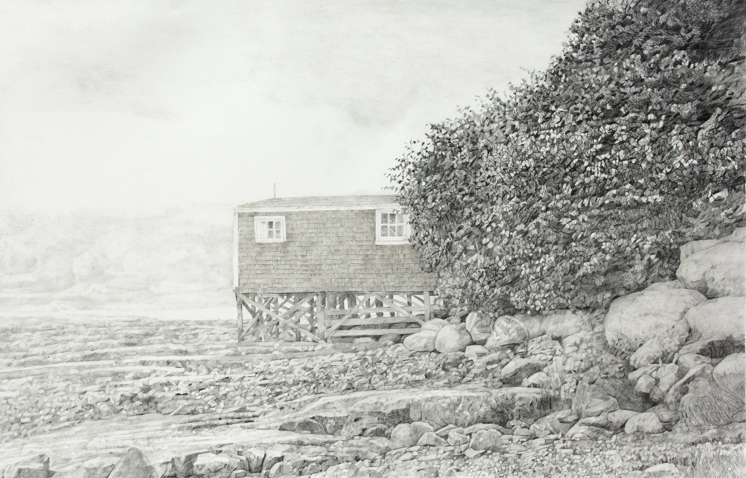 CAROL ROWAN fine artist