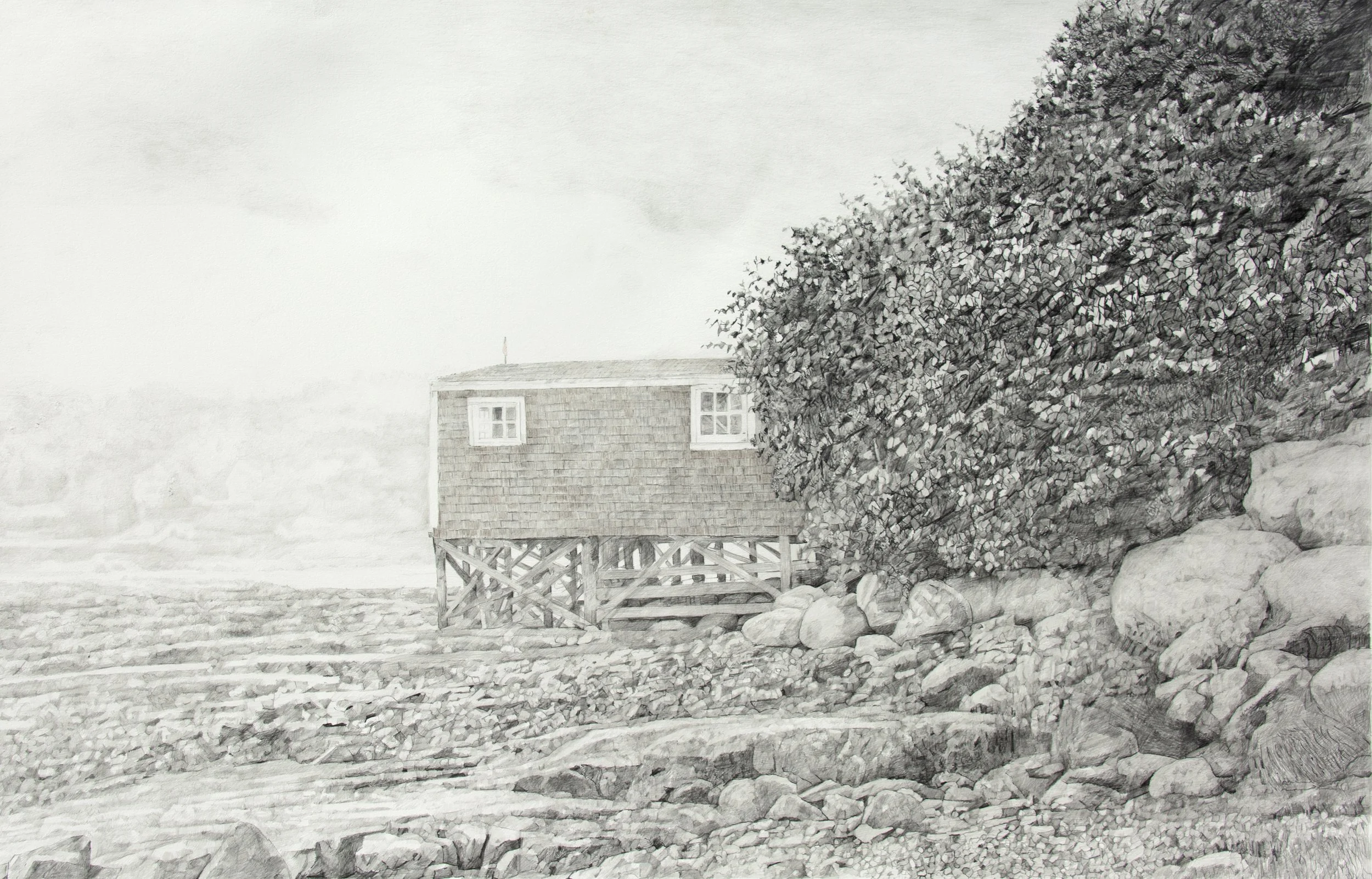 CAROL ROWAN fine artist