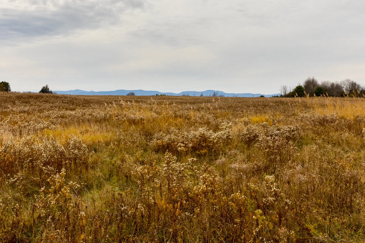 Meadow Ridge on Hudson: A Fairytale Venue — LBFPHOTO