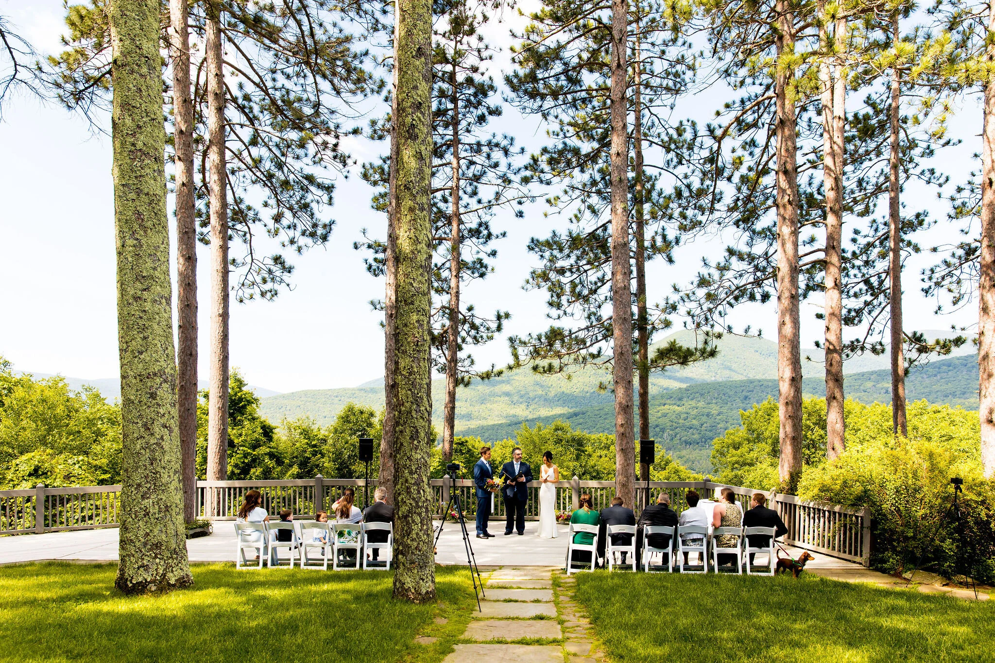 6 Dogs and 16 People: The Perfect Ratio For This Onteora Wedding — LBFPHOTO