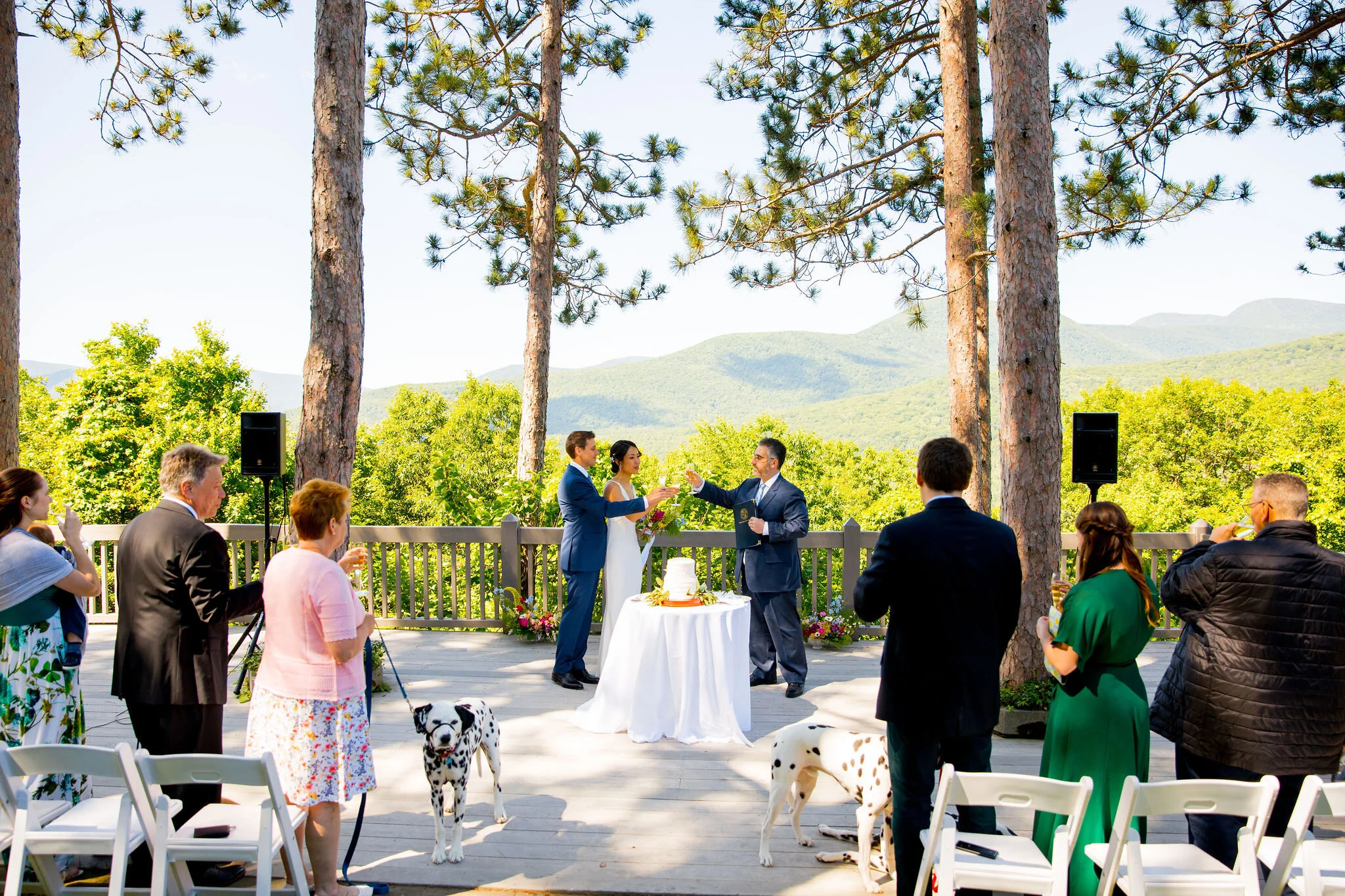 6 Dogs and 16 People: The Perfect Ratio For This Onteora Wedding — LBFPHOTO