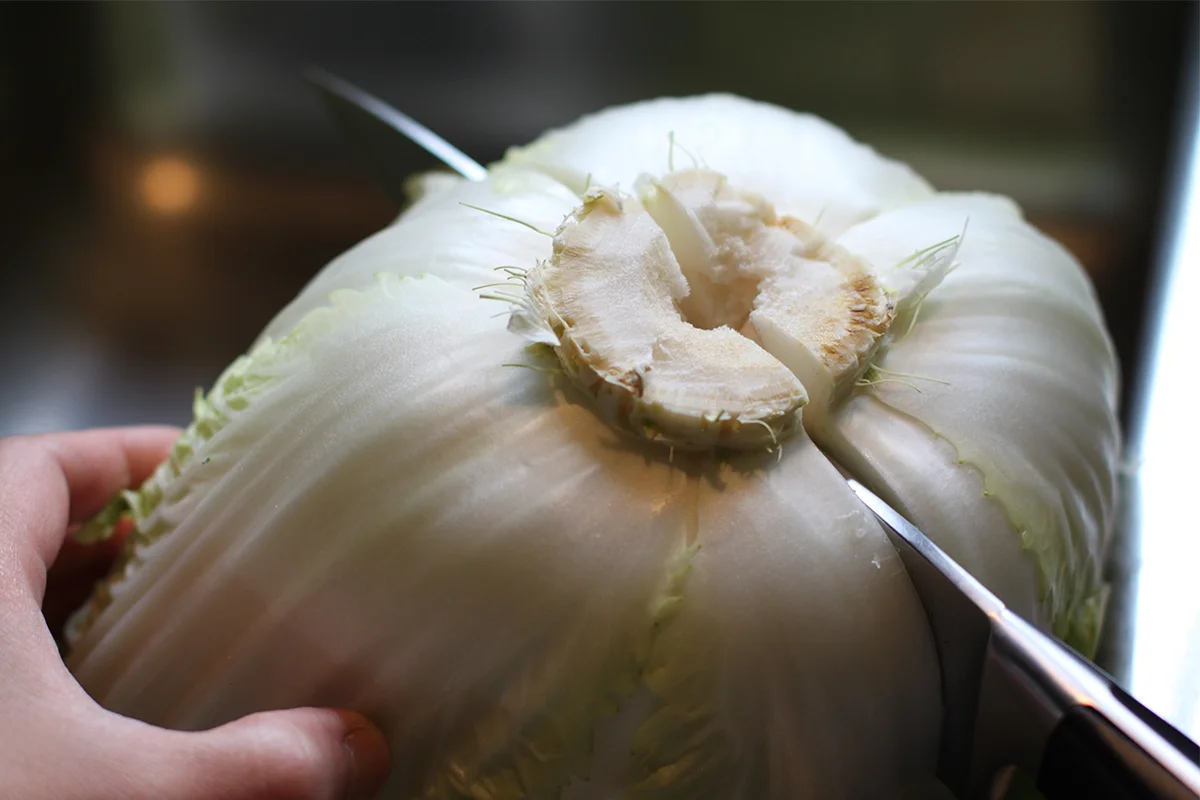 napa cabbage kimchit-square in the kitchen