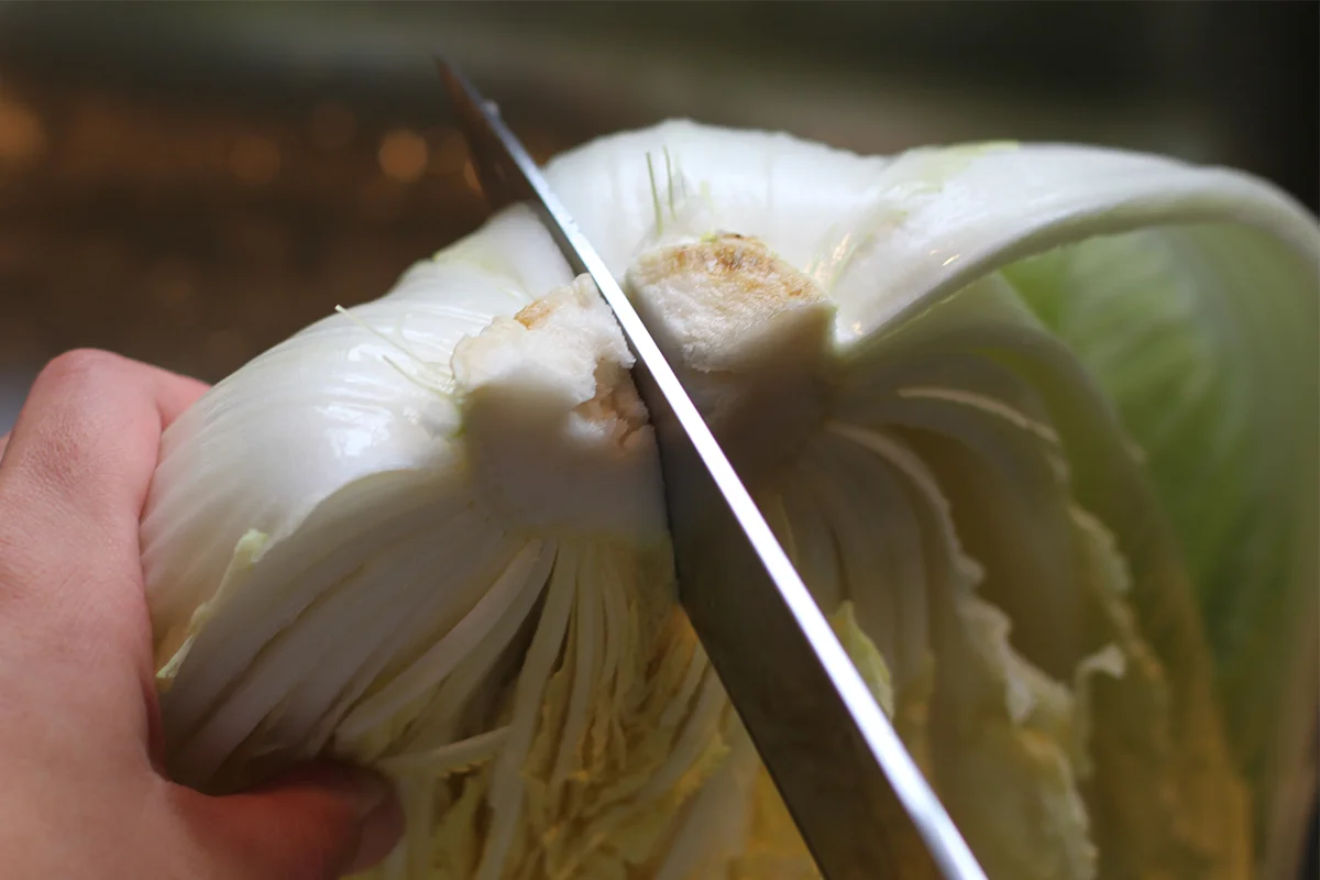 napa cabbage kimchit-square in the kitchen