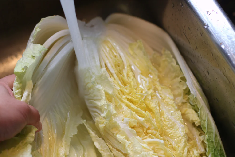 napa cabbage kimchit-square in the kitchen