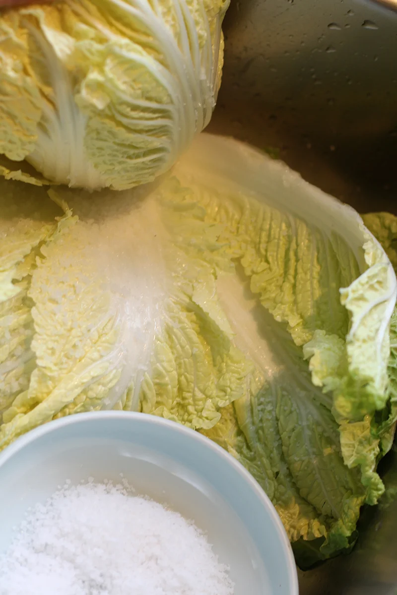 napa cabbage kimchit-square in the kitchen