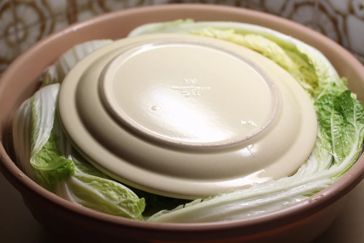 napa cabbage kimchit-square in the kitchen