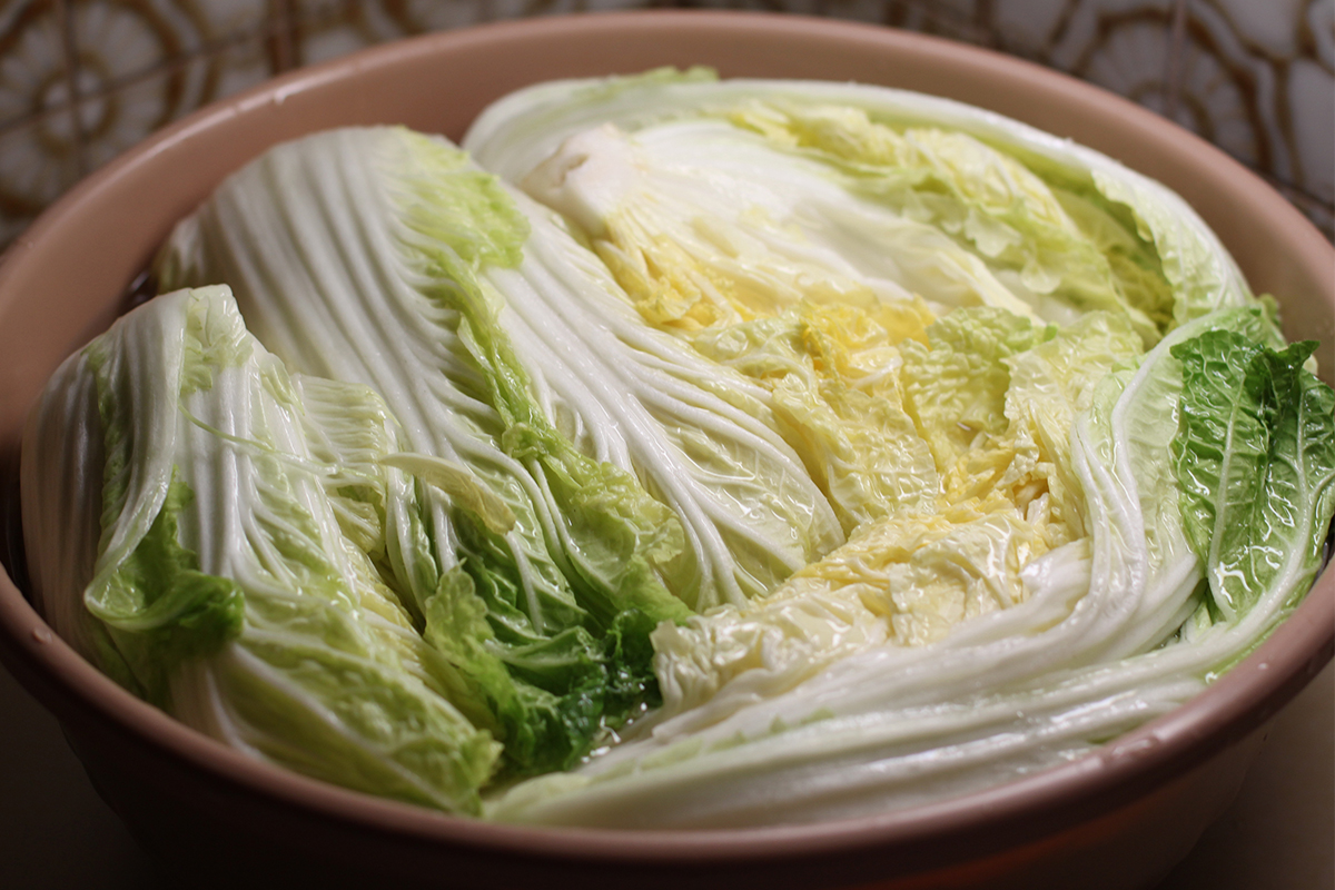 napa cabbage kimchit-square in the kitchen