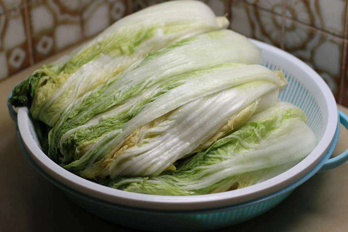 napa cabbage kimchit-square in the kitchen