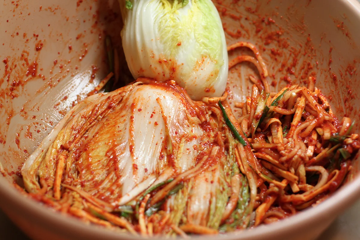 napa cabbage kimchit-square in the kitchen