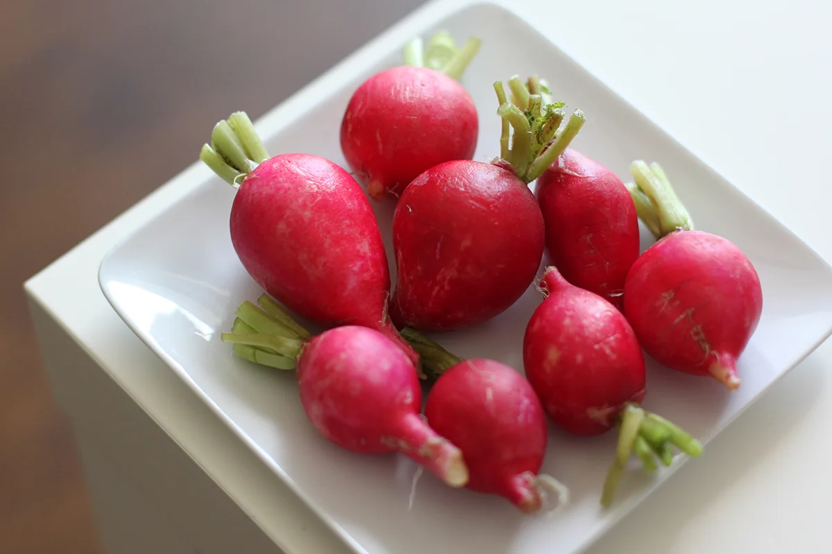 pickled red radisht-square in the kitchen