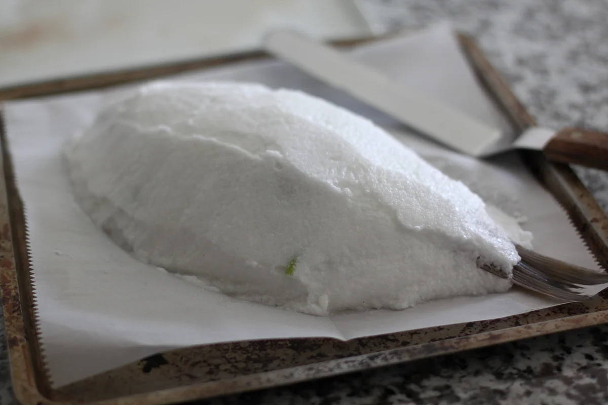 salt crust baked porgyt-square in the kitchen