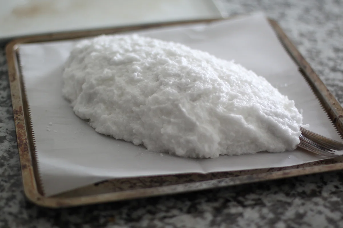 salt crust baked porgyt-square in the kitchen
